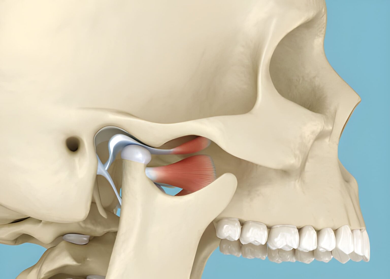 TMJ/TMD Treatment in Raleigh, NC: Effective Relief at Triangle Dentistry